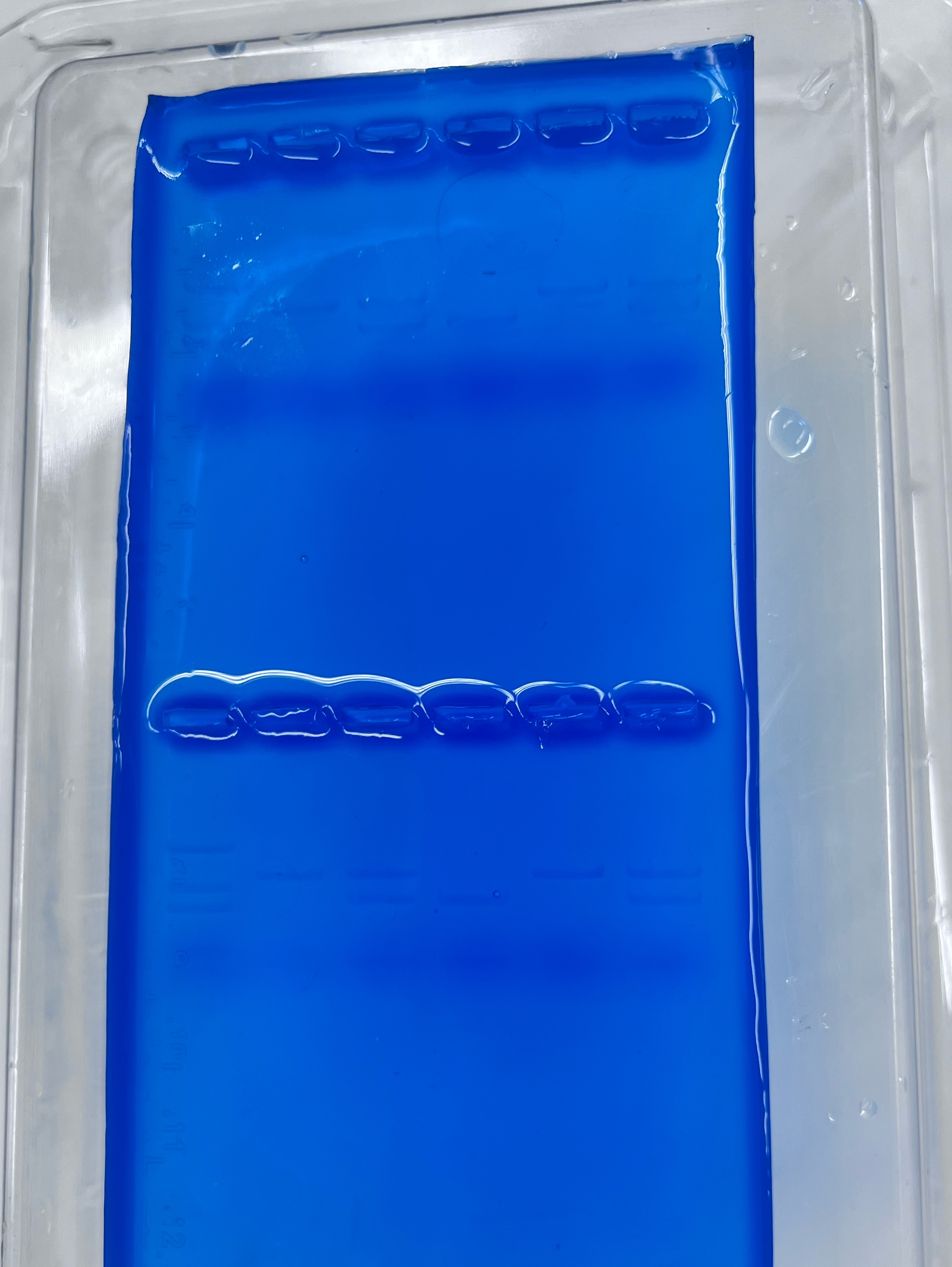 Solved Module II: Staining Agarose Gels Using FlashBlue | Chegg.com