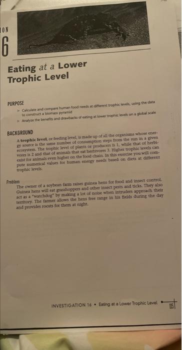 Eating at a Lower Trophic Level PURPQSE Calculate and | Chegg.com