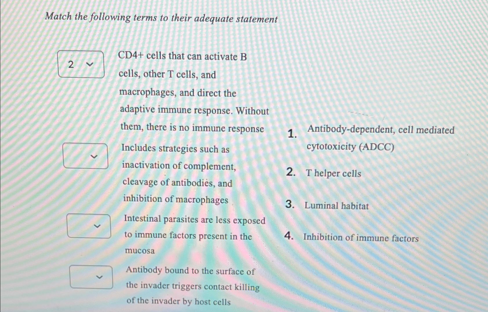Solved Match the following terms to their adequate | Chegg.com