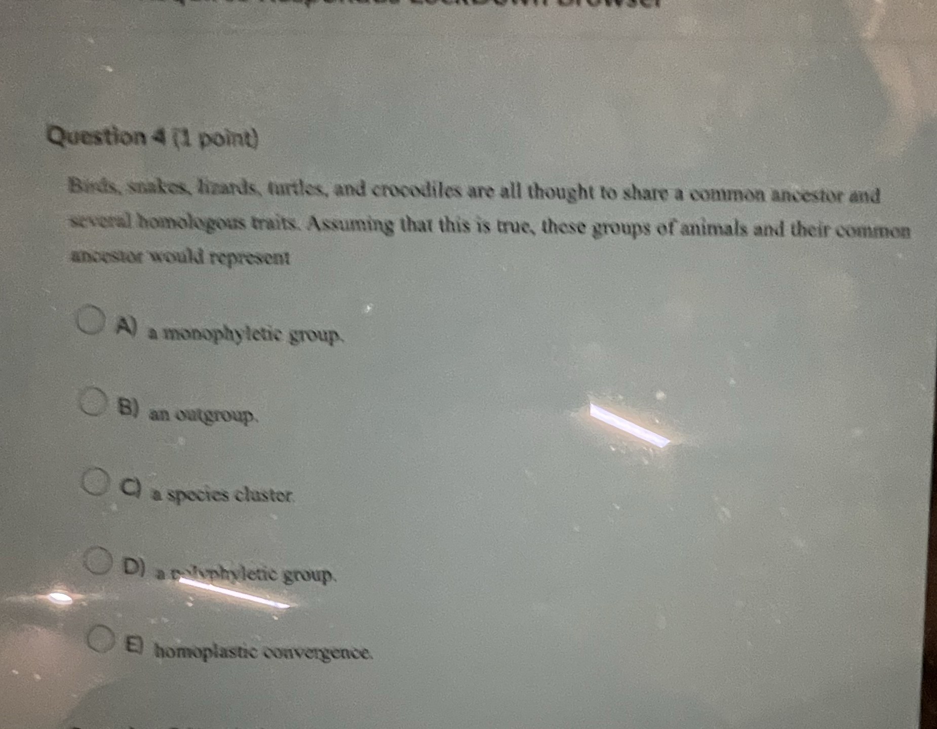 Solved Question 4 (1 ﻿point)Binth, rmies thanth, twitles, | Chegg.com