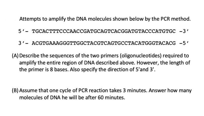Solved Attempts to amplify the DNA molecules shown below by | Chegg.com