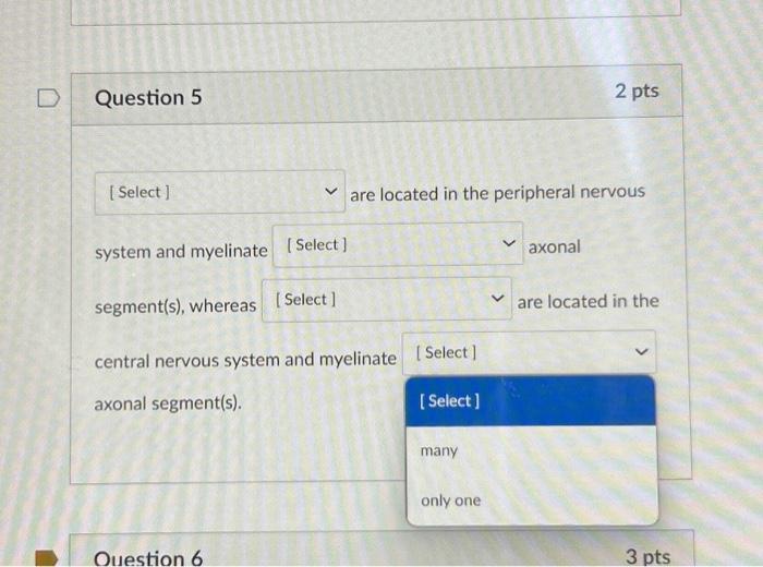Solved 10 Question 5 2pts [Select ] are located in the | Chegg.com