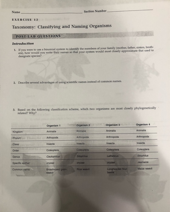 Solved Section Number Name EXERCISE 12 Taxonomy: Classifying | Chegg.com