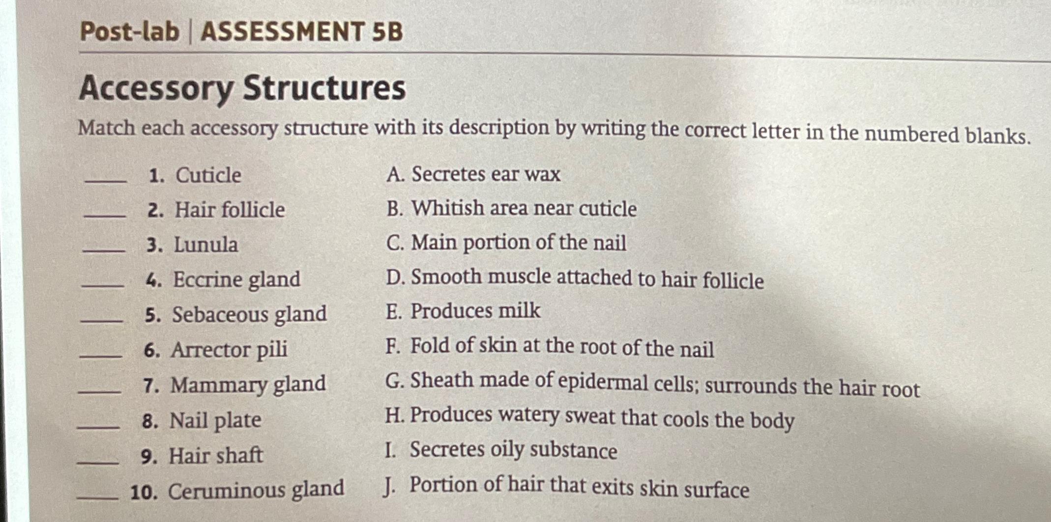 Solved Post-lab | ﻿ASSESSMENT 5BAccessory StructuresMatch | Chegg.com