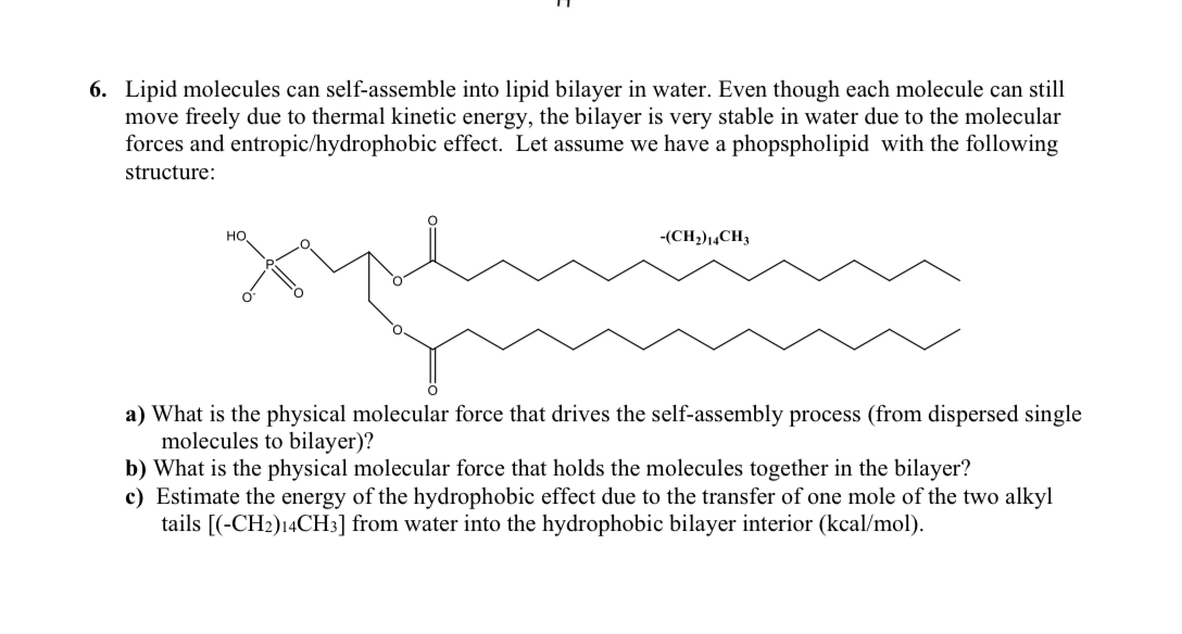 Solved Lipid molecules can self-assemble into lipid bilayer | Chegg.com