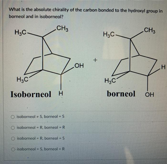 Solved The term 'endo' means on the same side of the larger | Chegg.com