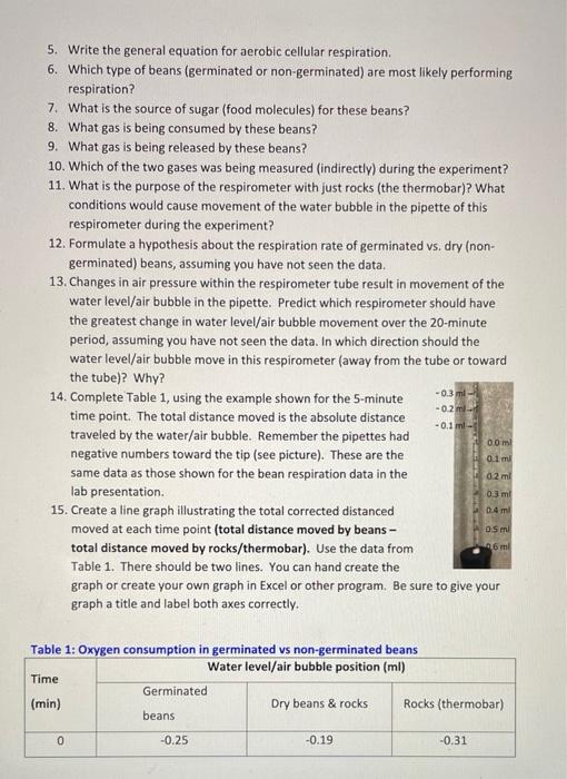 Solved Experiment 1 Fermentation of sugars by yeast 1. What | Chegg.com