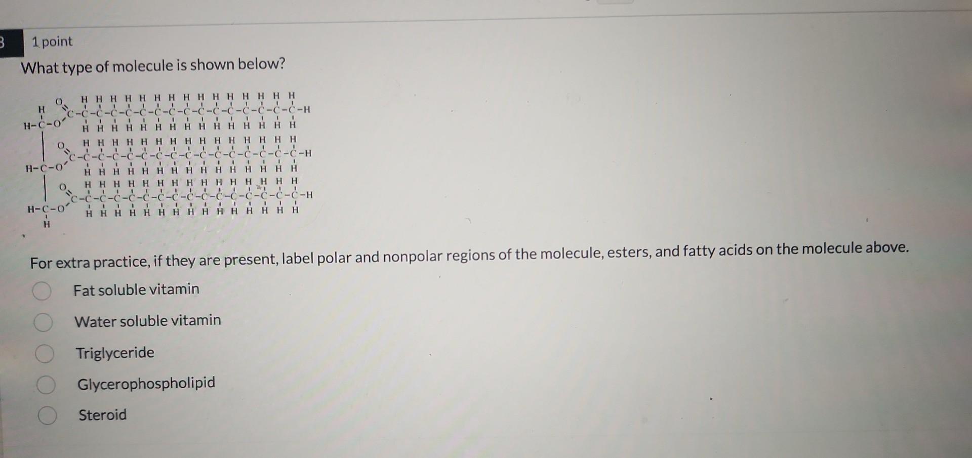 Solved What type of molecule is shown below? For extra | Chegg.com