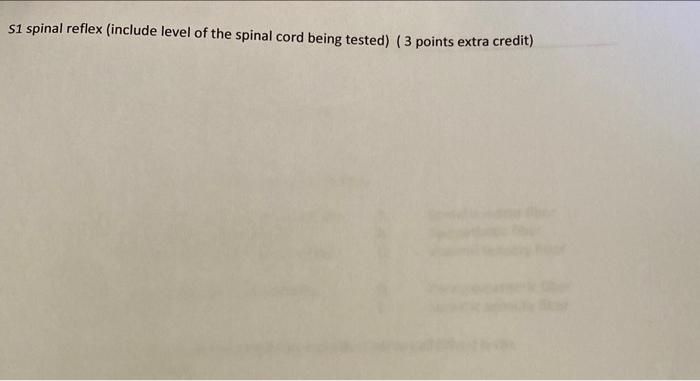 Solved S1 spinal reflex (include level of the spinal cord | Chegg.com