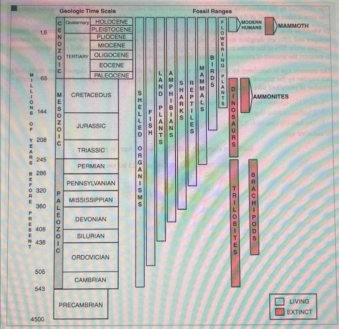 Solved Part B. Match the fossil type (A-F) to its age on the | Chegg.com