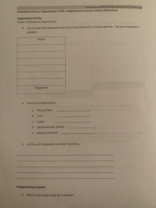 Anatomy and Physiology Worksheet Online Lab | Chegg.com