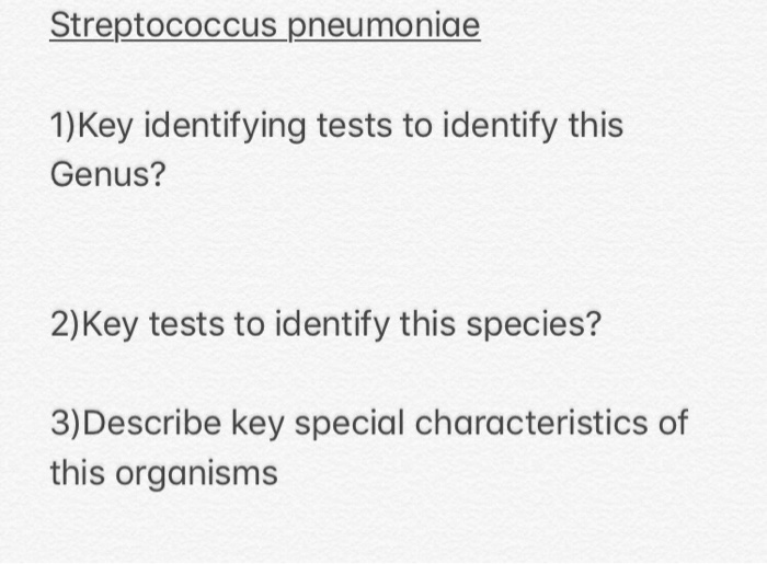 Solved Streptococcus pneumoniae 1) Key identifying tests to | Chegg.com