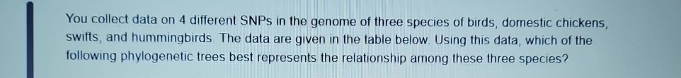 Solved You collect data on 4 ﻿different SNPs in the genome | Chegg.com