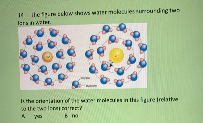 Solved 14 The figure below shows water molecules surrounding | Chegg.com