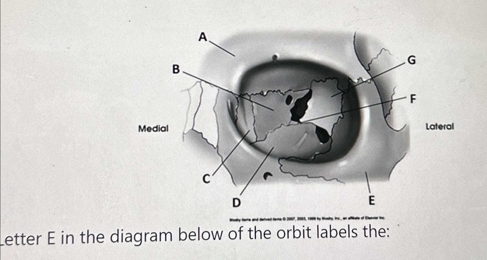 etter E ﻿in the diagram below of the orbit labels | Chegg.com