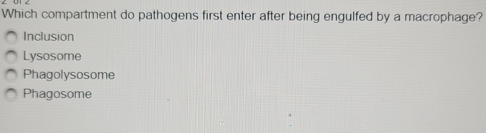 Solved Which compartment do pathogens first enter after | Chegg.com