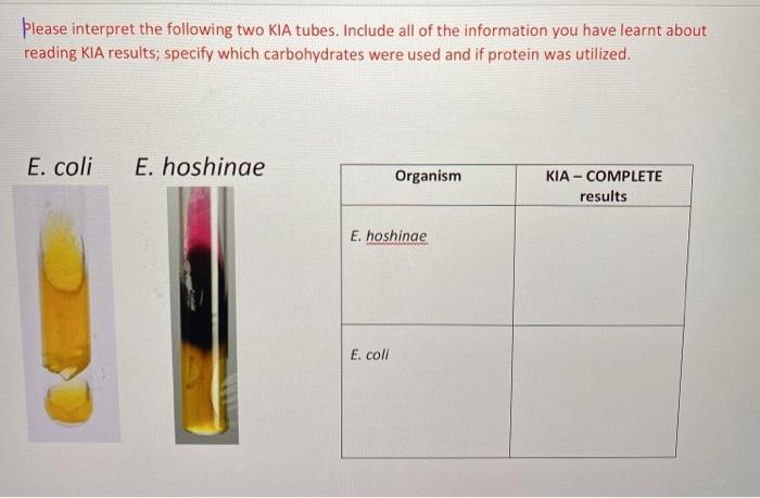 Solved please interpret the following two KIA tubes. Include | Chegg.com