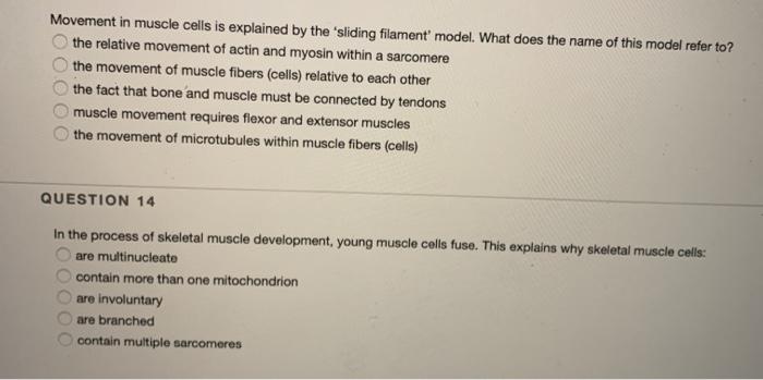 Solved Movement in muscle cells is explained by the 'sliding | Chegg.com