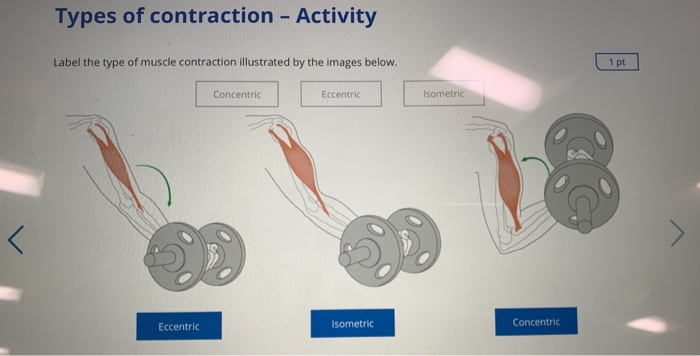 Solved Types of contraction - Activity Label the type of | Chegg.com
