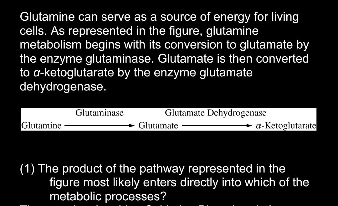 Solved Glutamine can serve as a source of energy for living | Chegg.com