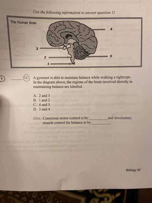 Solved Booklet 2B Nervous System and Senses Use the | Chegg.com