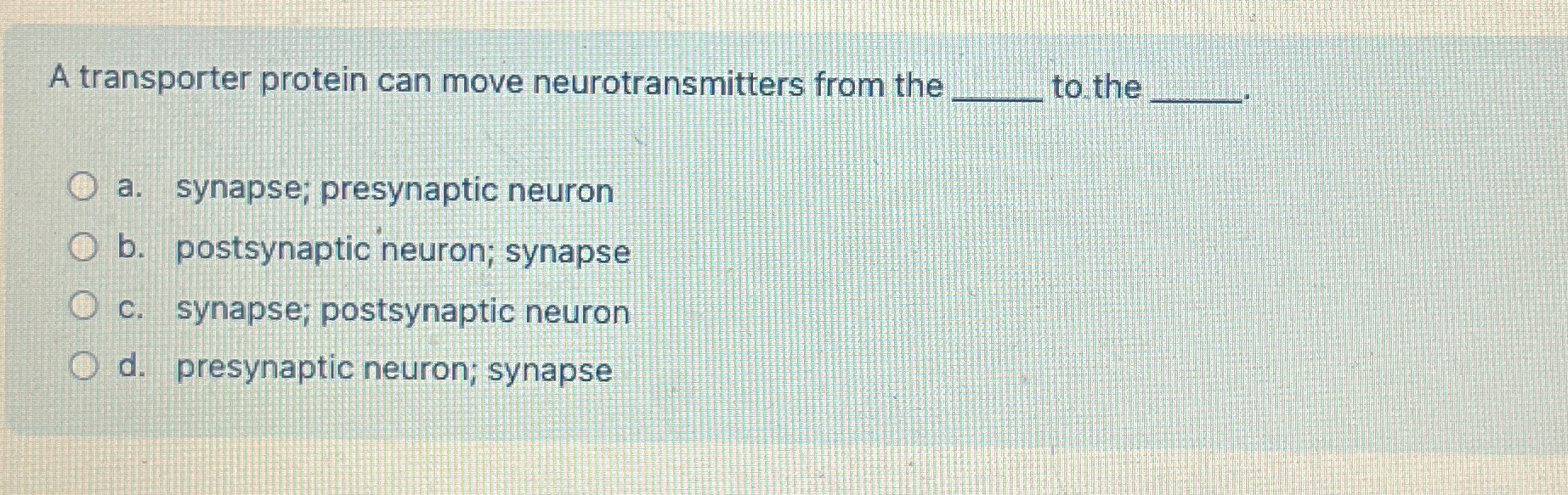 Solved A transporter protein can move neurotransmitters from | Chegg.com