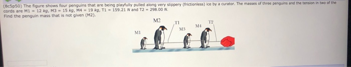 Solved (8c5p50) The figure shows four penguins that are | Chegg.com