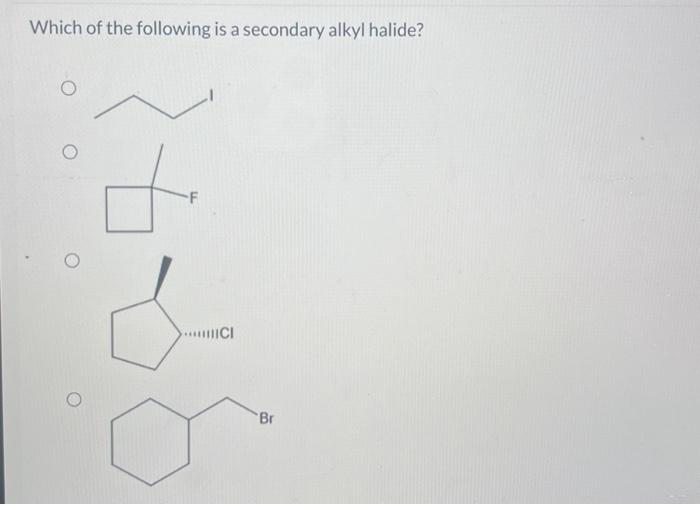 Solved Which of the following is a secondary alkyl halide? | Chegg.com