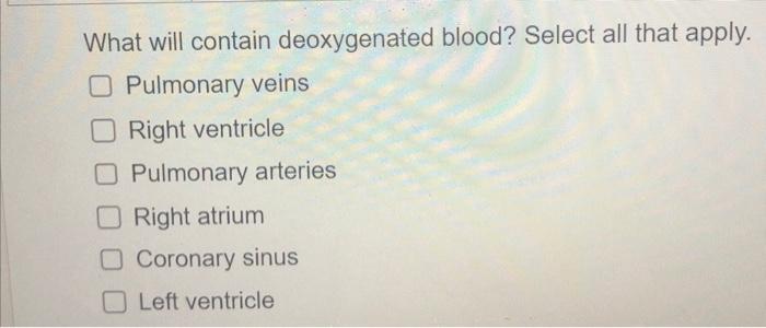 Solved What will contain deoxygenated blood? Select all that | Chegg.com