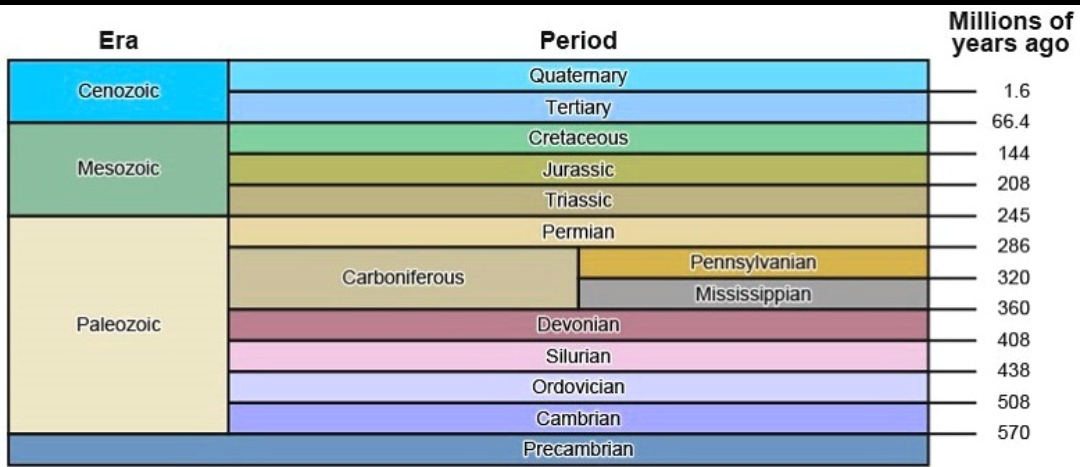 Solved QuestionHELP!! Study the diagram of the geologic time | Chegg.com