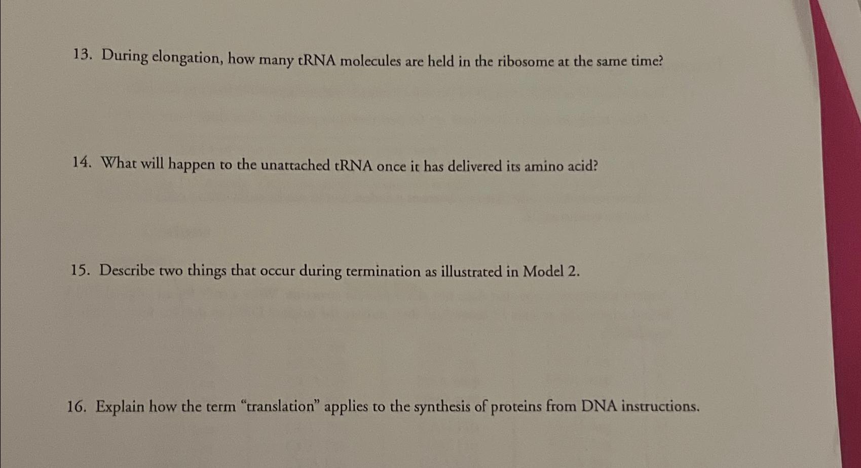 Solved During elongation, how many tRNA molecules are held | Chegg.com