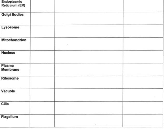 Solved High School Biology Cell Structures and Functions | Chegg.com