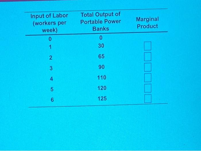 Solved \begin{tabular}{ccc} \hline Input of Labor (workers | Chegg.com