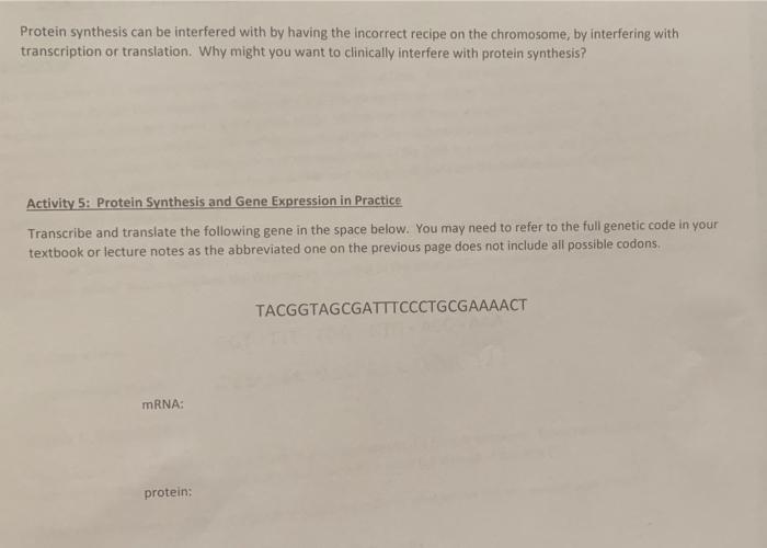 Solved Protein synthesis can be interfered with by having | Chegg.com
