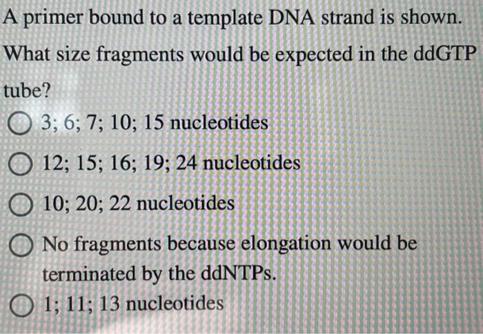 Solved A primer bound to a template DNA strand is shown. | Chegg.com