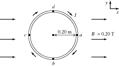 Solved A rigid circular loop has a radius of 0.20 m and is | Chegg.com