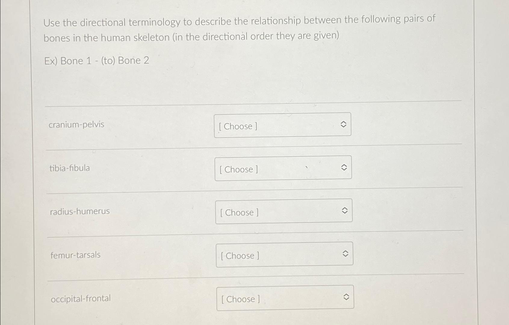 Solved Use the directional terminology to describe the | Chegg.com