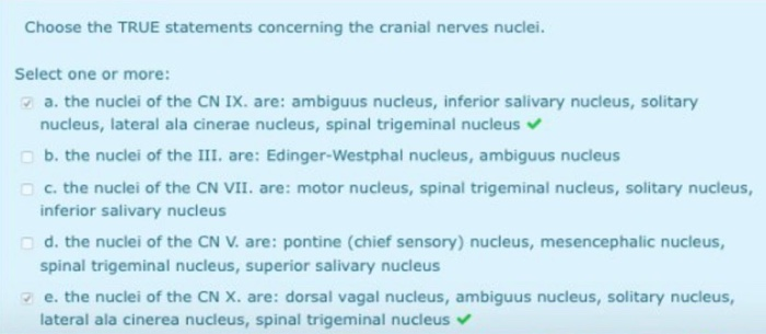 Solved Choose the TRUE statements concerning the cranial | Chegg.com