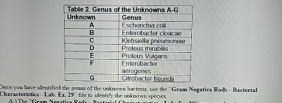 \table[[Table 2. ﻿Genus of the Unknowns | Chegg.com