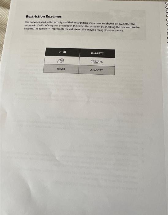 Solved Restriction Enzymes The enzymes used in this activity | Chegg.com