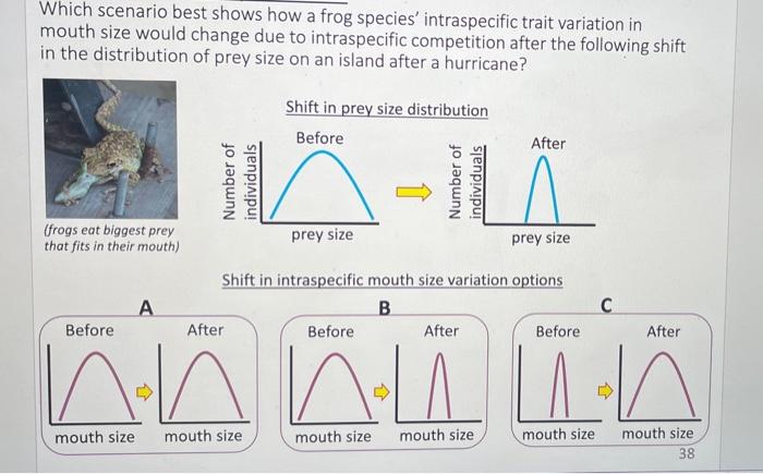 Solved Which graph shows evidence of intraspecific | Chegg.com