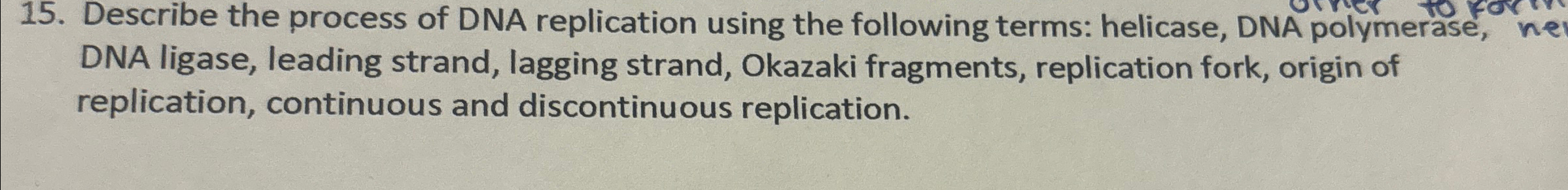 Solved Describe the process of DNA replication using the | Chegg.com