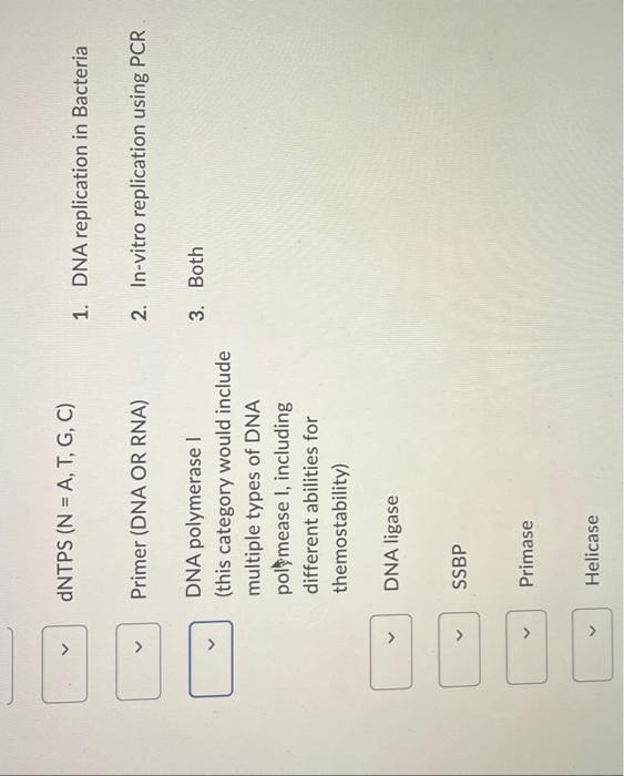 Solved Please match the component/enzyme to whether it is | Chegg.com