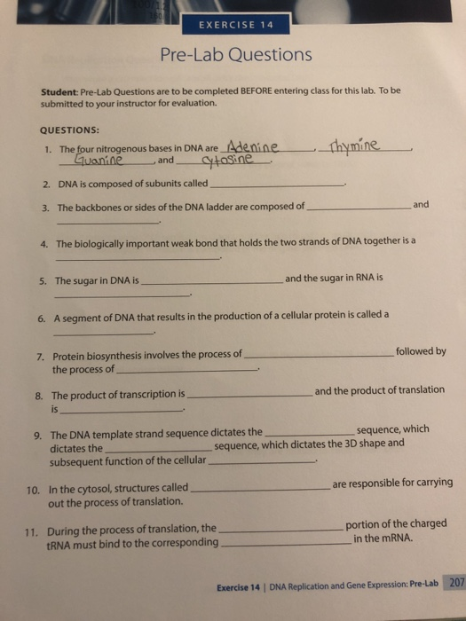 Solved EXERCISE 14 Pre-Lab Questions Student: Pre-Lab | Chegg.com