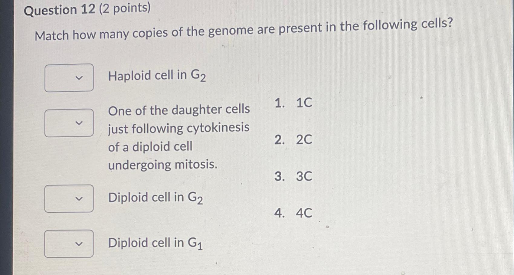 Solved Question 12 (2 ﻿points)Match how many copies of the | Chegg.com