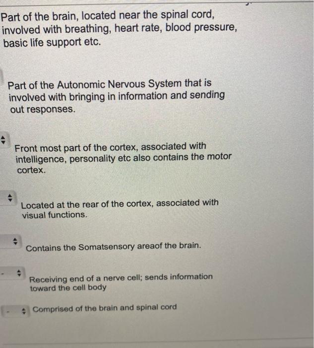 Solved Nervous system which contains the Somatic and A. | Chegg.com