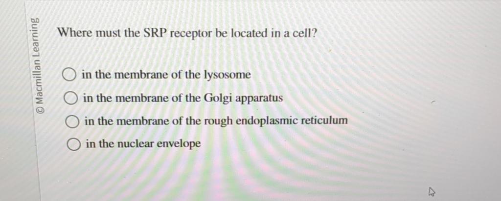 Solved Where must the SRP receptor be located in a cell?in | Chegg.com