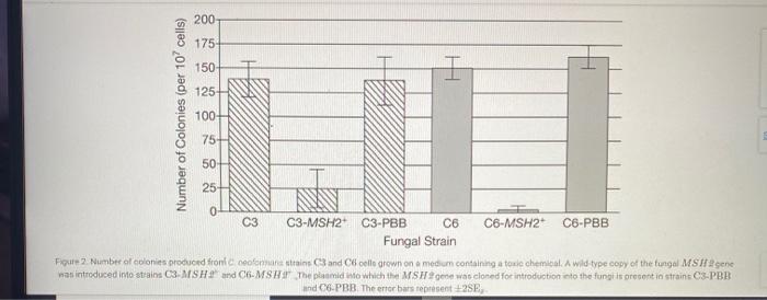 Solved (e) Based on the data in Figure 1. for each strain | Chegg.com