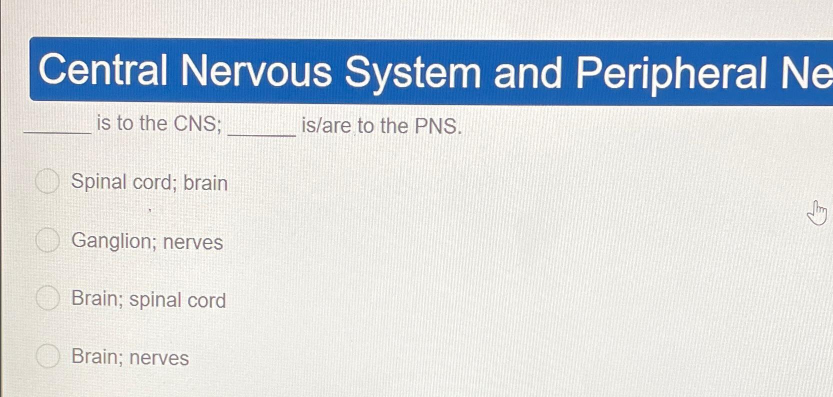 Solved Central Nervous System and Peripheral Ne is to the | Chegg.com