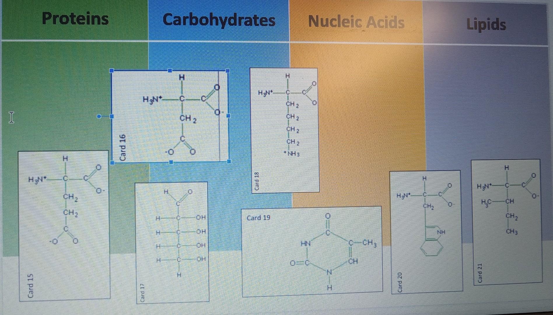 Card 6Nucleic Acids LipidsLipids Card 19Proteins | Chegg.com